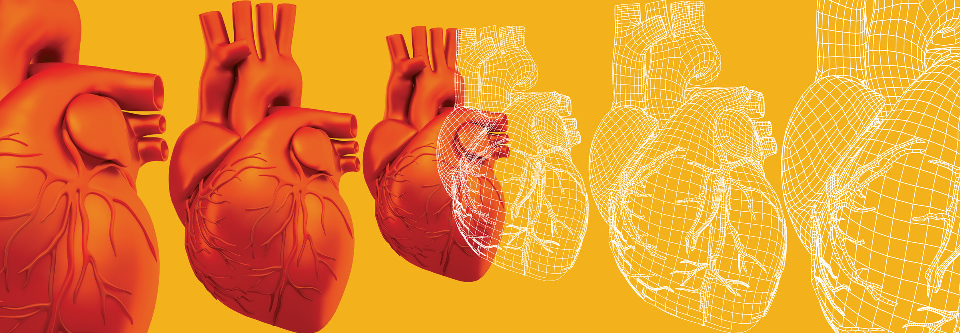 Digital Twins in Healthcare: How They Transform Patient Care ...